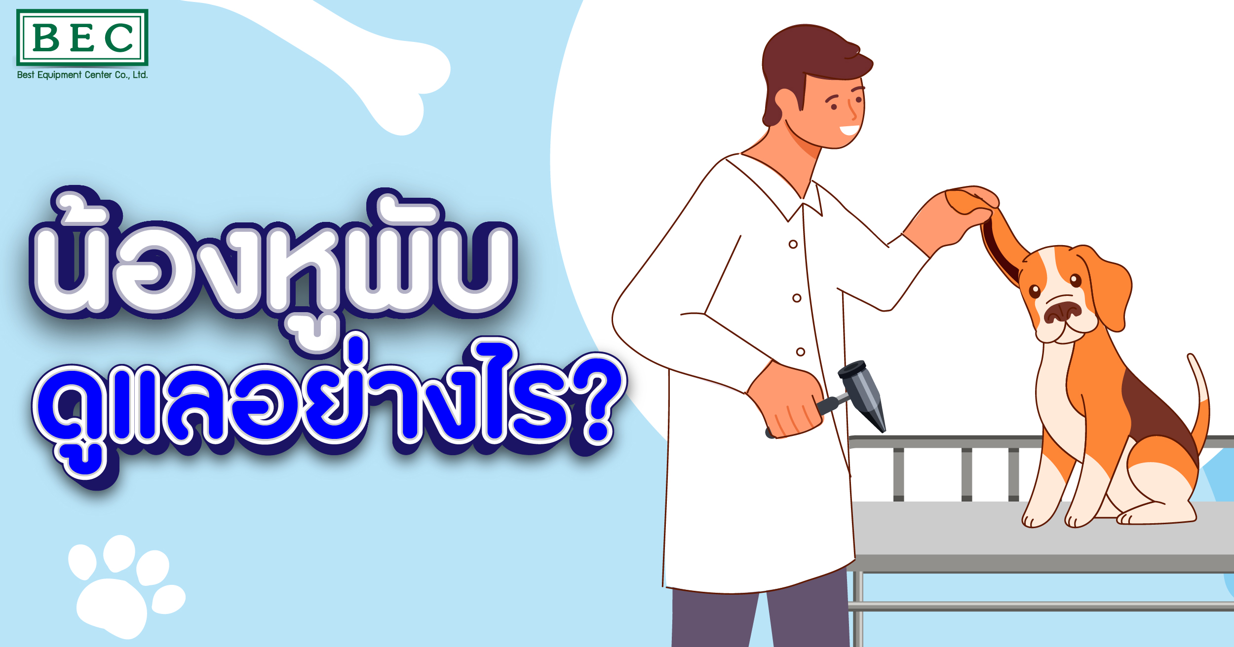 น้องหูพับดูแลอย่างไร | Best Equipment Center Co., Ltd. (BEC)