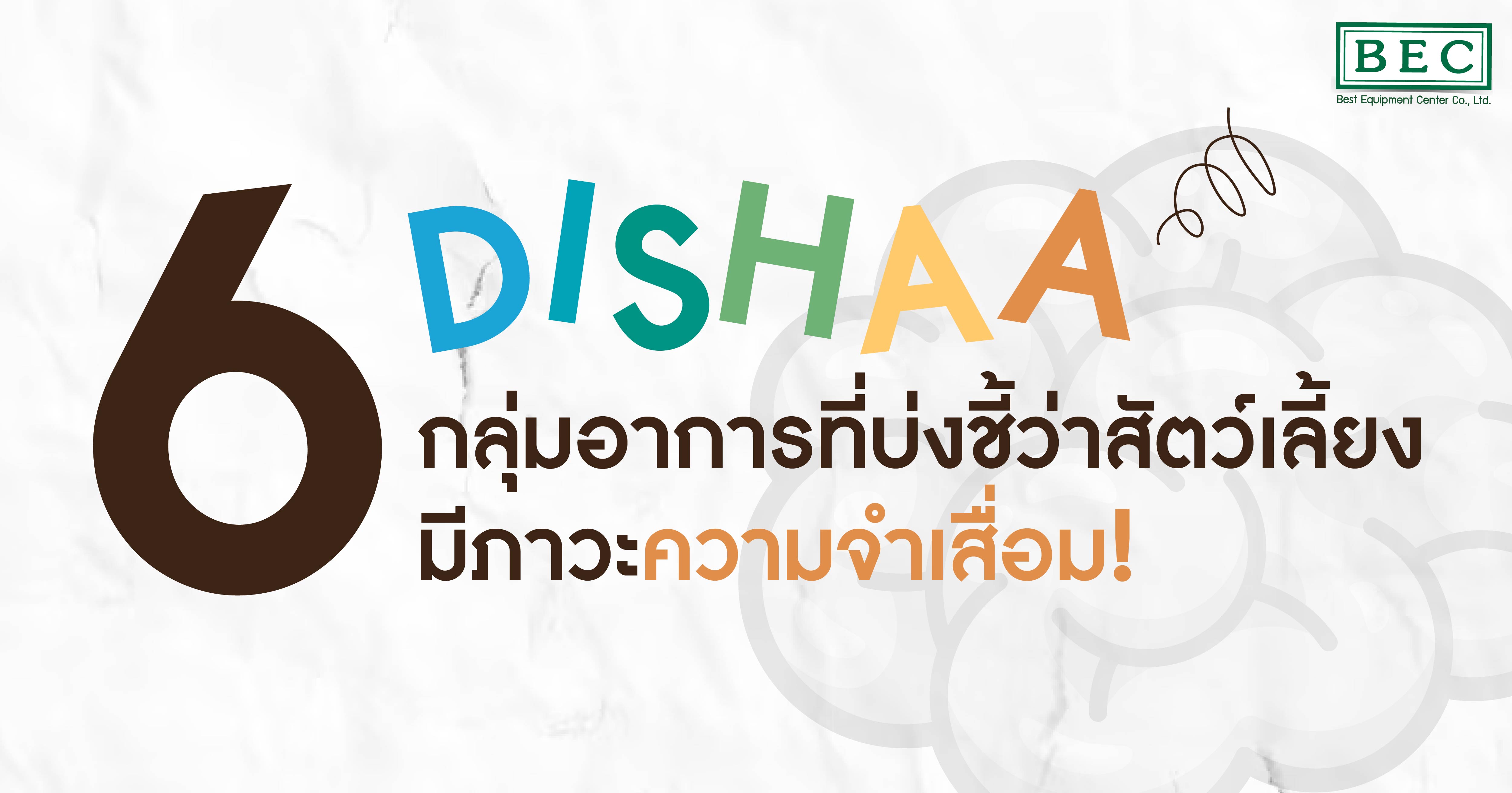DISHAA 6 กลุ่มอาการที่บ่งชี้ว่าสัตว์เลี้ยงมีภาวะความจำเสื่อม | Best ...