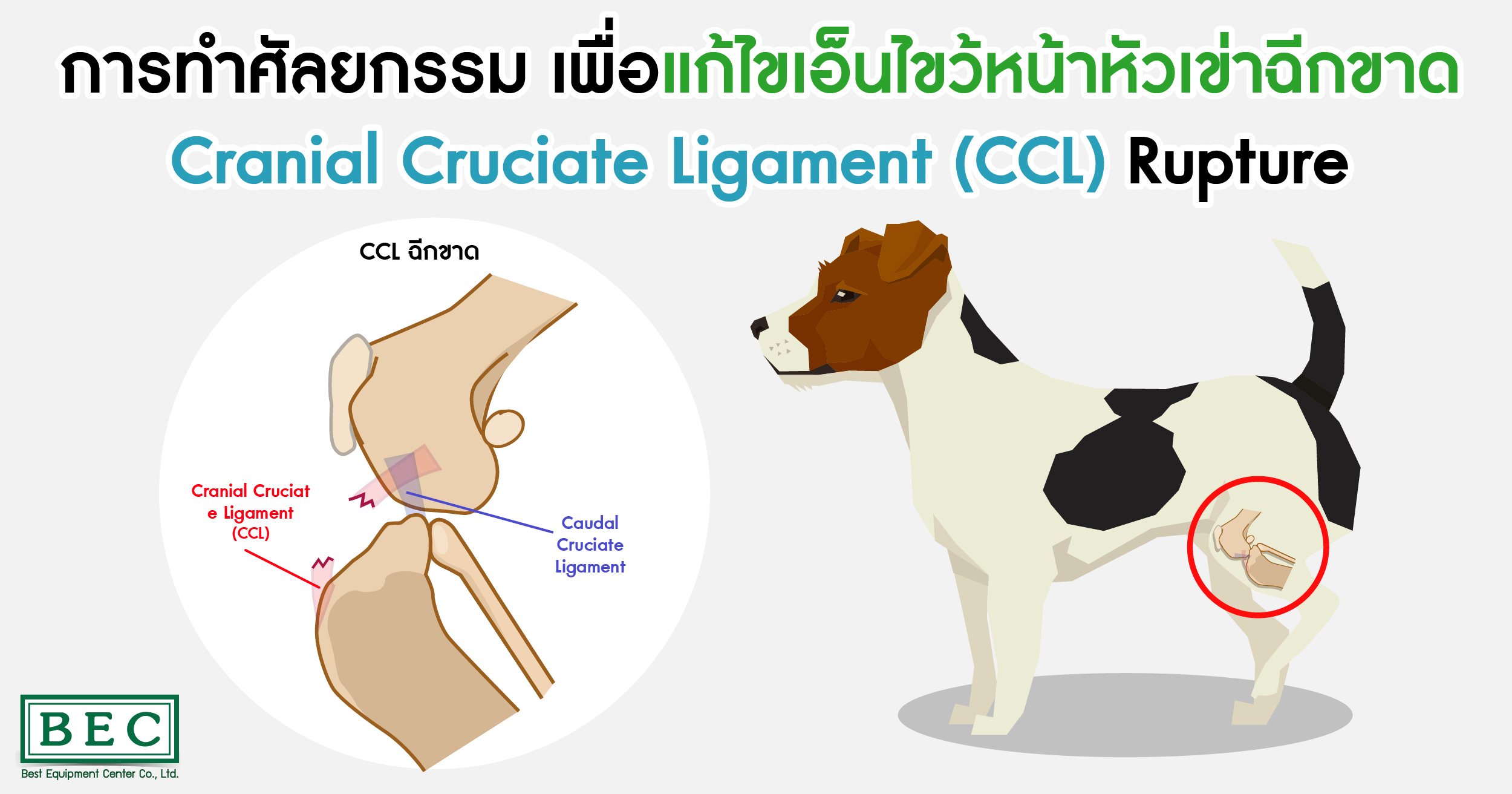 Blogs | Best Equipment Center Co., Ltd. (BEC)