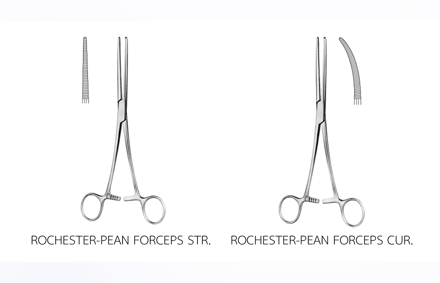 ROCHESTER-PEAN FORCEPS | Best Equipment Center Co., Ltd. (BEC)