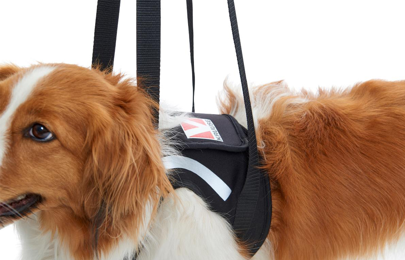 KRUUSE Rehab Lifting Harness (Front Legs) | Best Equipment Center Co ...