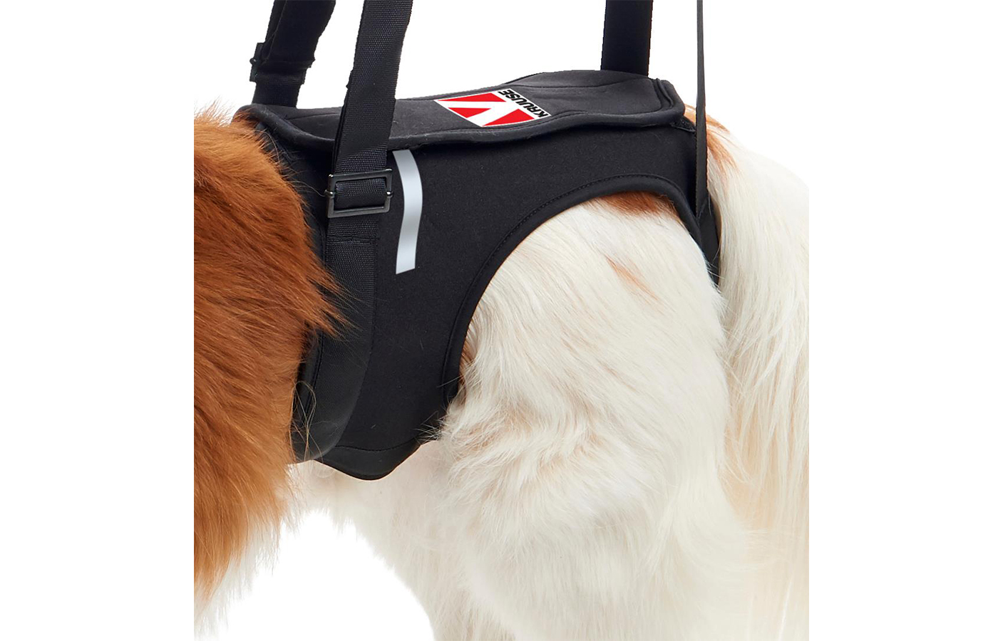 KRUUSE Rehab Lifting Harness (Hind Legs) | Best Equipment Center Co ...