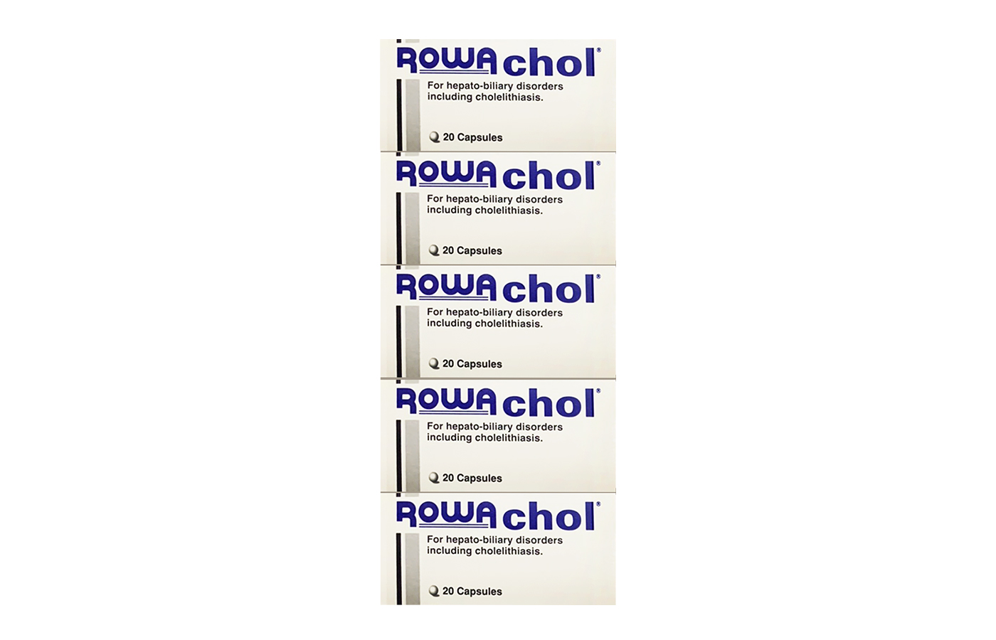 Rowachol ยาสลายนิ่วในถุงน้ำดี | Best Equipment Center Co., Ltd. (BEC)