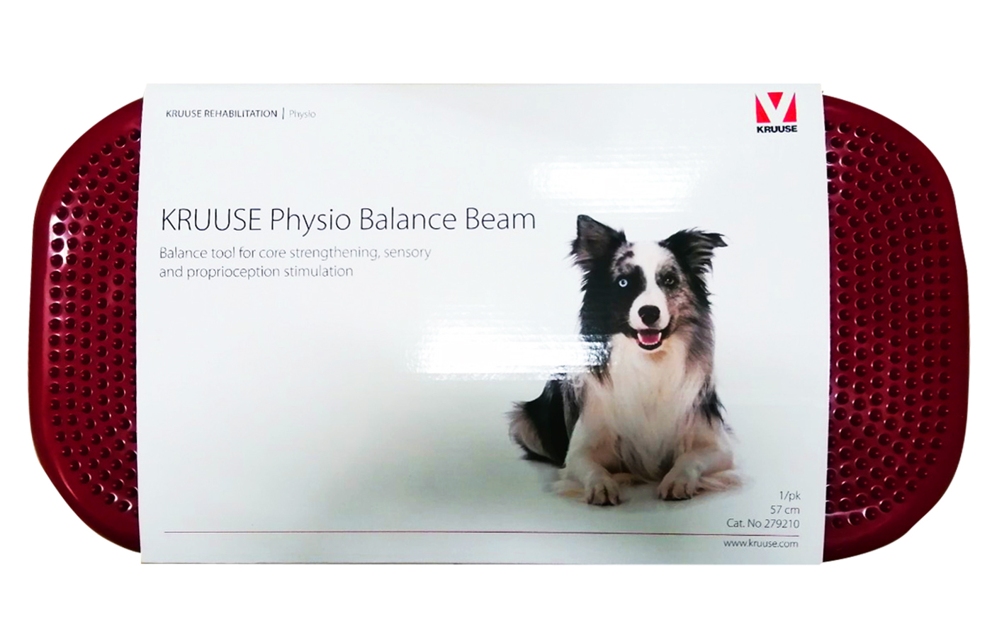KRUUSE Physio Balance Beam อุปกรณ์กายภาพบำบัดสัตว์เลี้ยง | Best ...