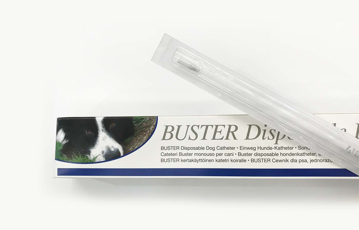 Buster Sterile Dog Catheters | Best Equipment Center Co., Ltd. (BEC)