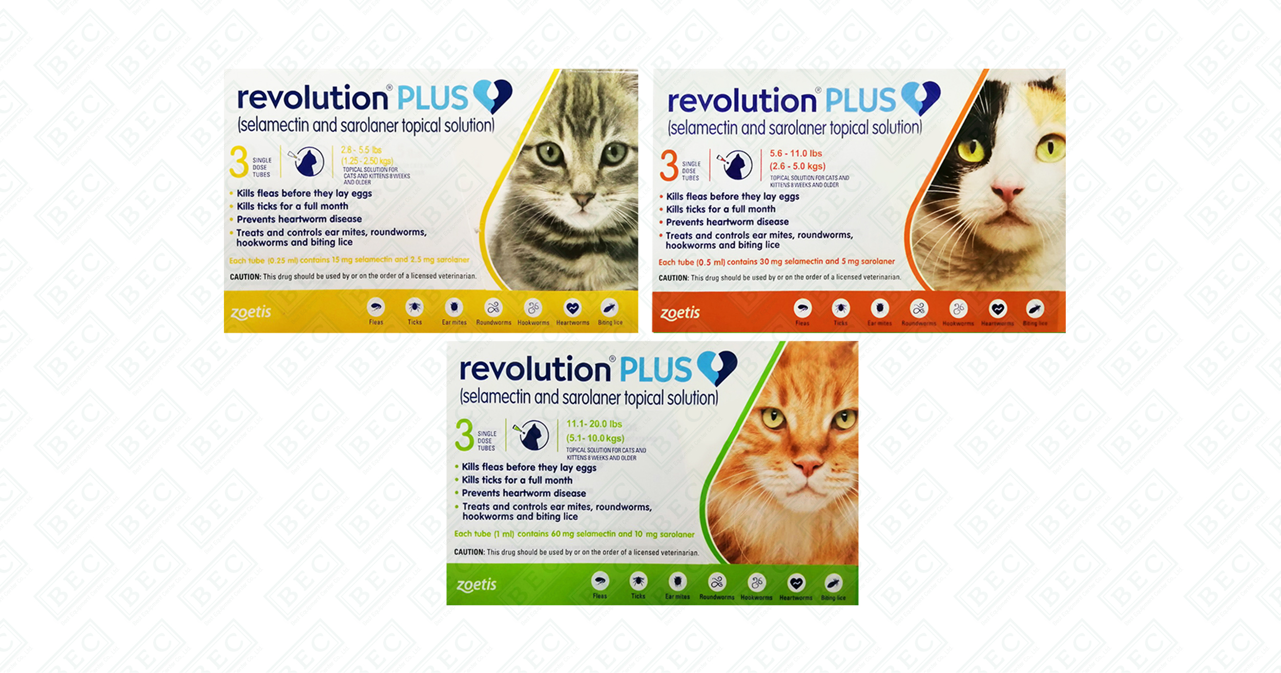 Revolution Plus | Best Equipment Center Co., Ltd. (BEC)