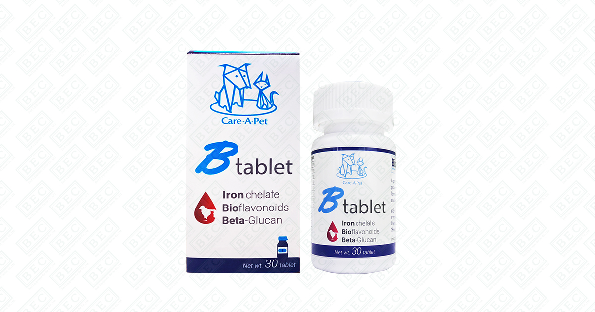 B -Tablet ยาบำรุงเลือดสำหรับสัตว์เลี้ยง | Best Equipment Center Co ...