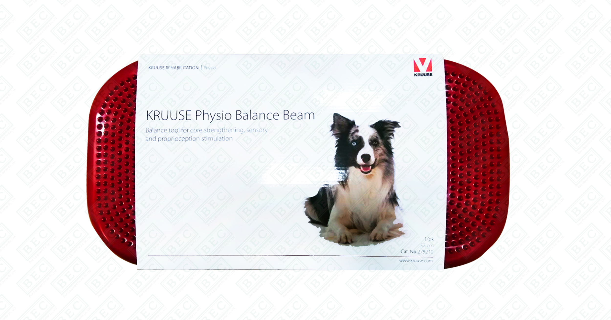 KRUUSE Physio Balance Beam อุปกรณ์กายภาพบำบัดสัตว์เลี้ยง | Best ...