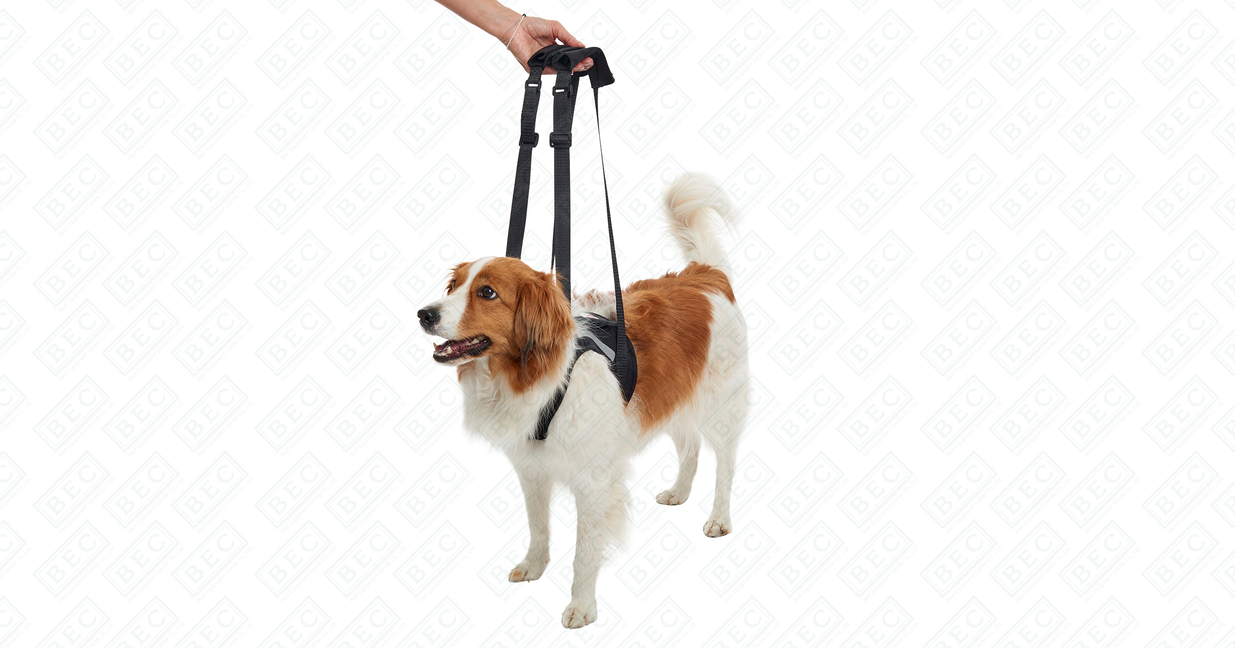 KRUUSE Rehab Lifting Harness (Front Legs) | Best Equipment Center Co ...